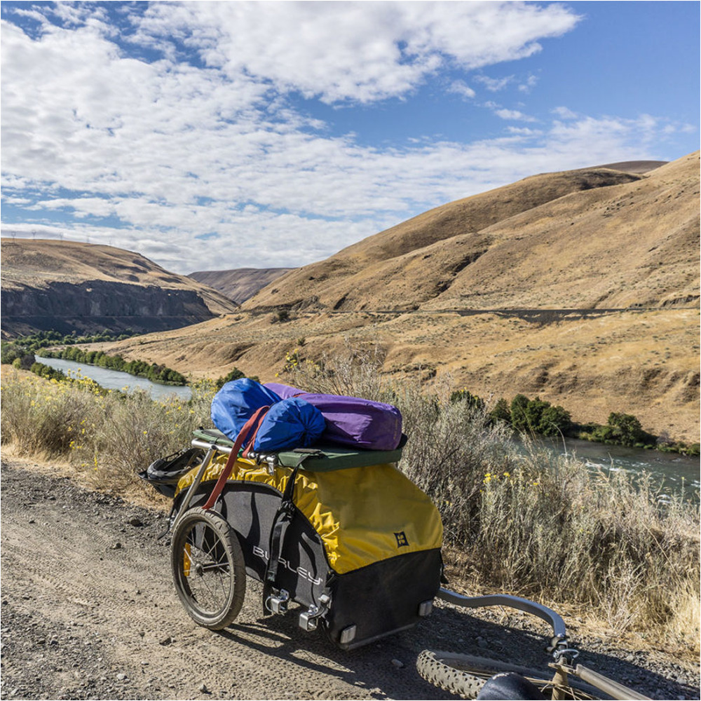 Bagażnik na przyczepkę Burley Nomad Cargo Rack - Rowertour.com
